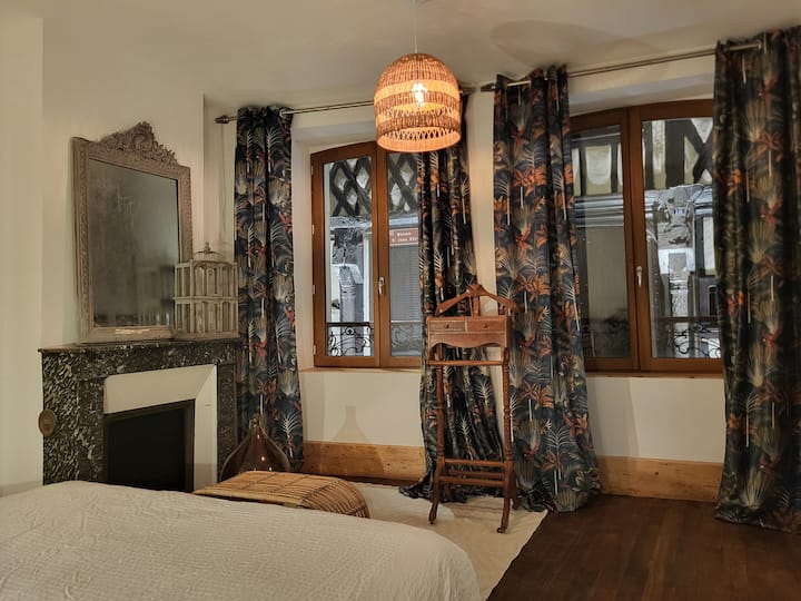 Appartement Calme Plein Centre D’aubigny - Aubigny-sur-Nère