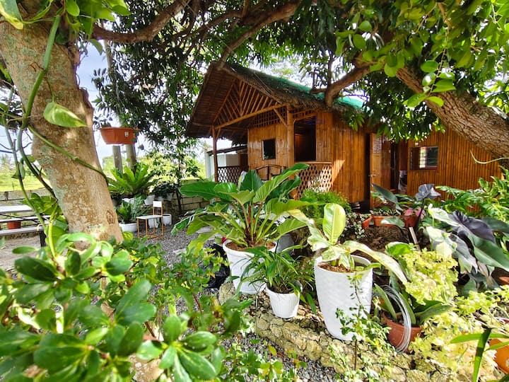 Traditional Native Bamboo Bungalow - Moalboal