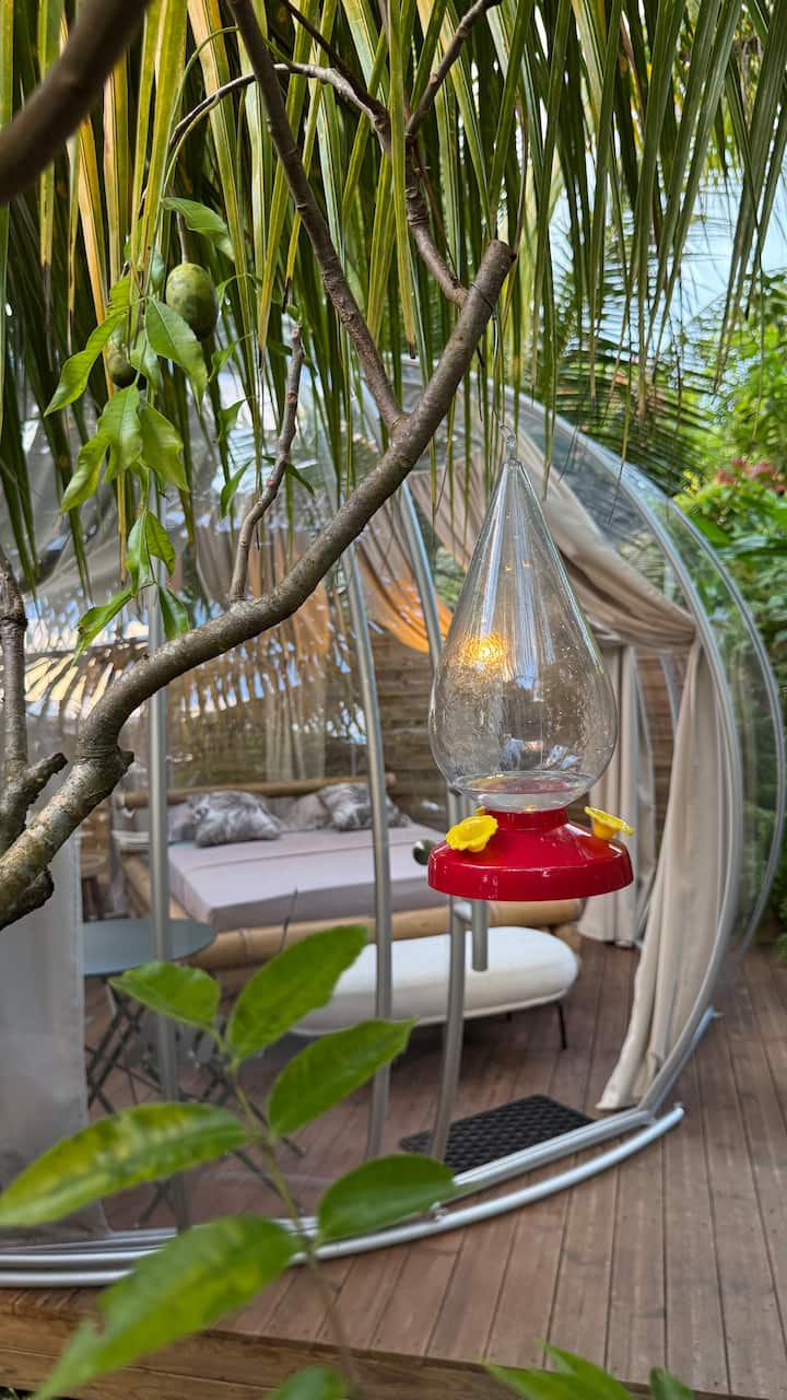 Atoumo Lodge : Nature & Ciel - Martinique