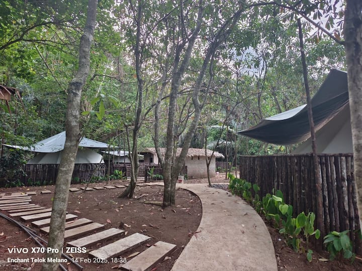 Couple Forest Tent Escape At Enchant Retreat - Sarawak