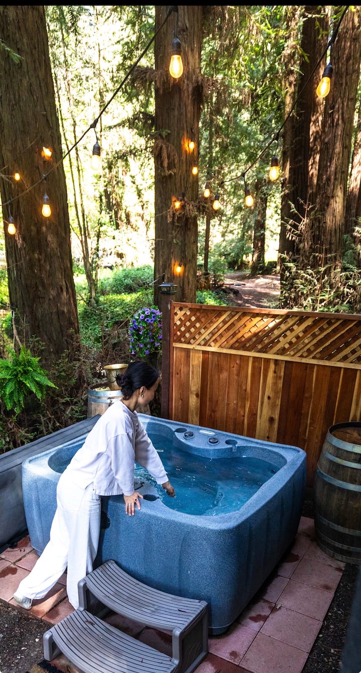 Rustic Charming Lodge - Monte Rio, CA