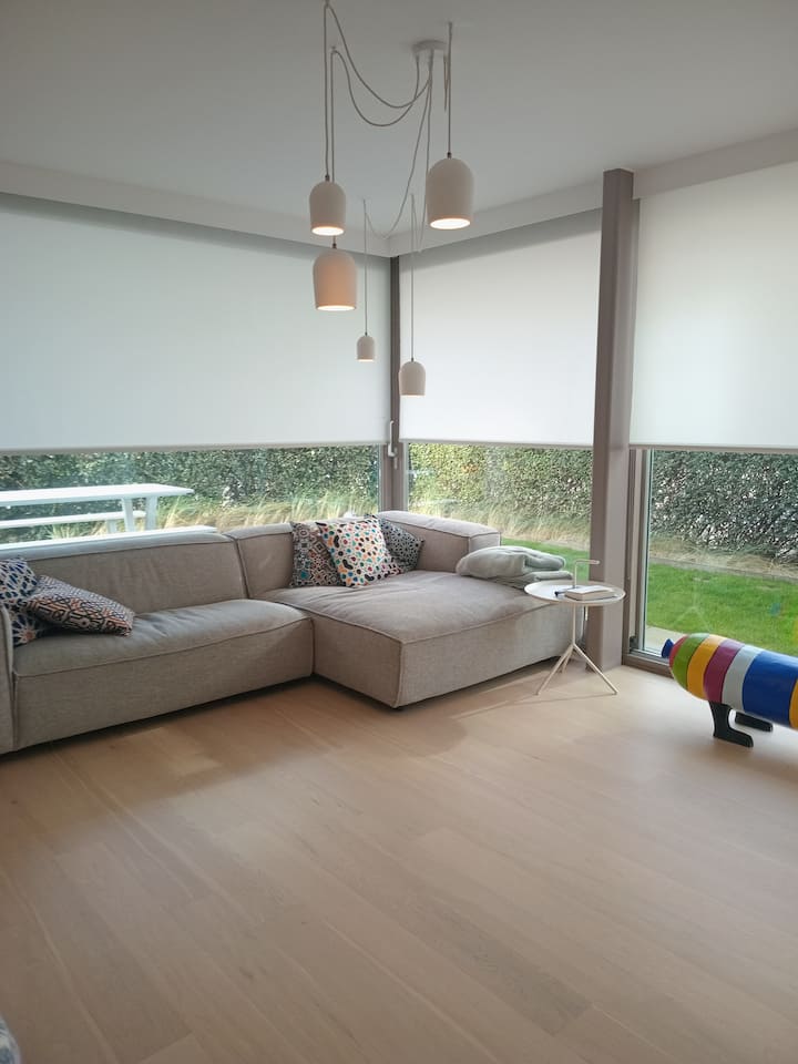 Seacat Zeebrugge - Bruges