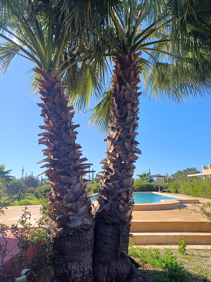 Domaine Artgana Lodge - Essaouira