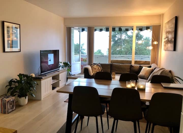 Utsiktsleilighet På Tonsenhagen - Oslo