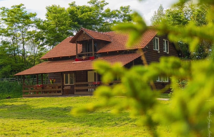 Casa Amis (Cabană) - Negreni
