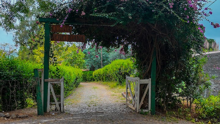 Quinta Vovo Joana - Cap-Vert