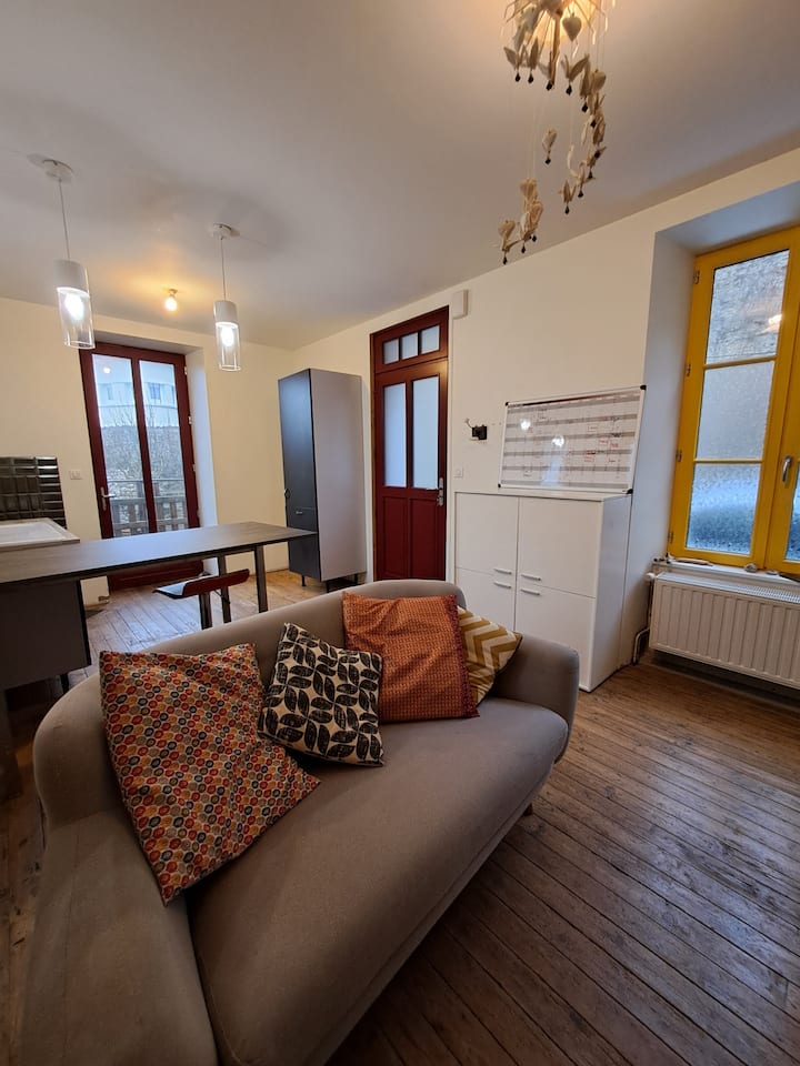 Appartement Sur Terrasse Et Jardin - Niort