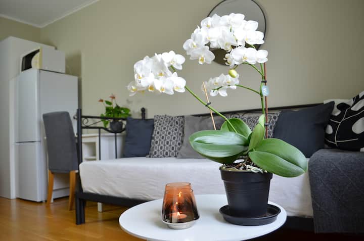 Studioleilighet Ved Sjøkanten - Stavanger