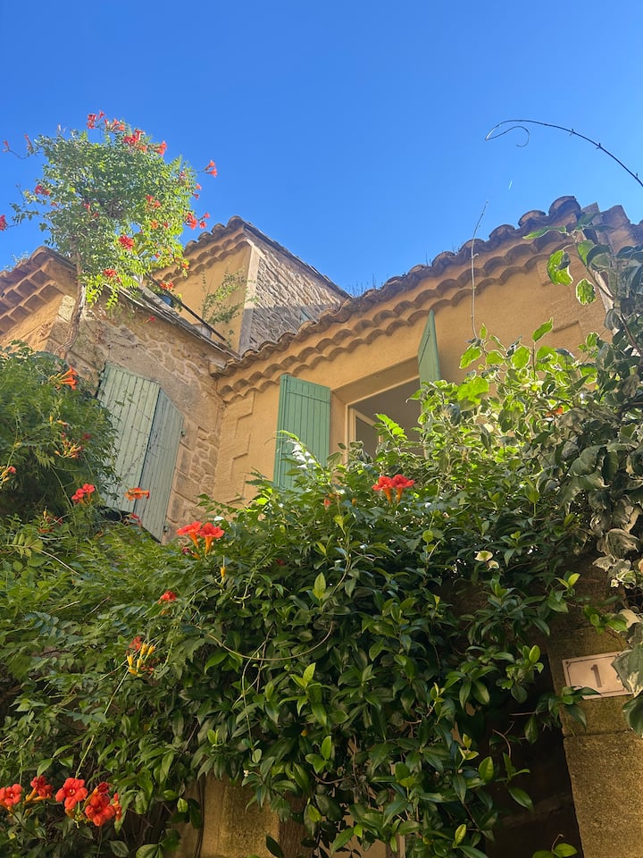 Maison De Village Avec Terrasse, Pont Du Gard - Lédenon