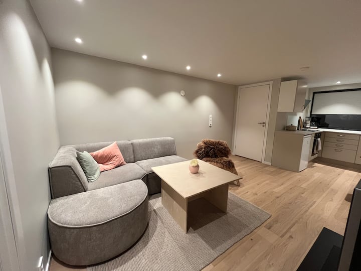 Koselig Og Privat Toroms Leilighet, Trondheim - Trondheim