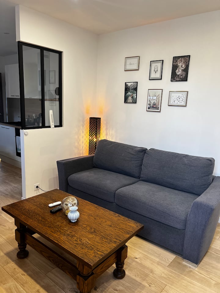 Studio éQuipé En Périphérie De Metz - Metz