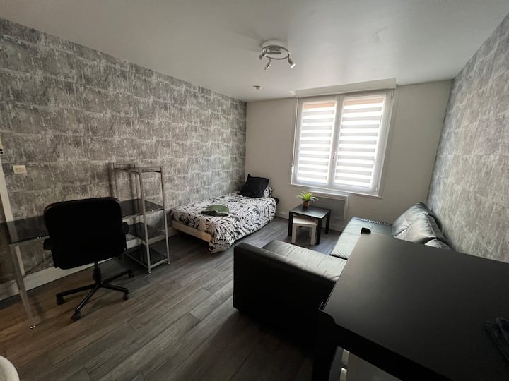 Studio Dans Le Vieux Lille - Lille