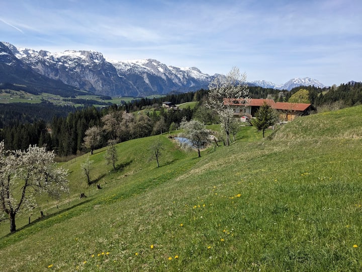 Hörndlhof - Abtenau