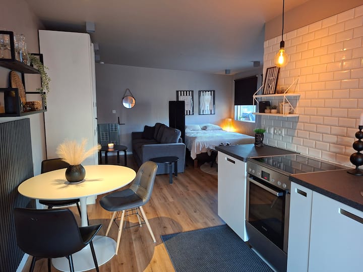 Hlýleg Stúdíó íBúð á Góðum Stað í Reykjavík. - Islande