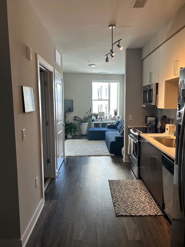 Open, Airy Studio Apartment, Close To Metro/dulles - Ashburn, VA