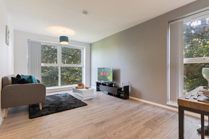 Lux 2br Apartment | Parking | Fast Wifi | Sleeps 7 - Birmingham