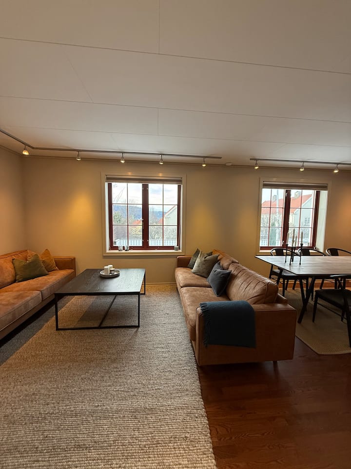 Sentral Leilighet Like Ovenfor Nydelige Bakklandet - Trondheim