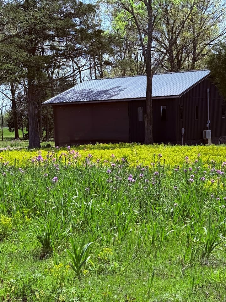 Brand New Cabin W/ Hot Tub, Private Deck & Firepit - Kansas (State)