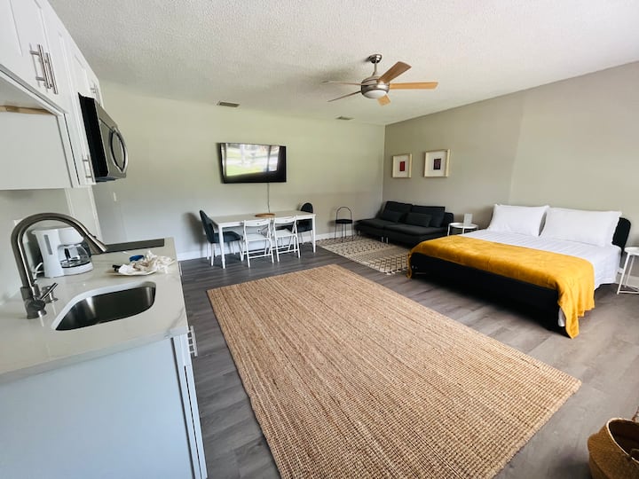 Modern Apt In Downtown Npr • Walk Everywhere - New Port Richey, FL