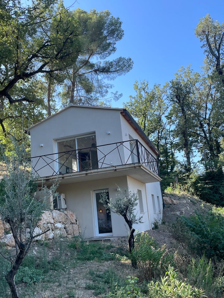 La Maison Sur La Colline-vue Superbe - Draguignan