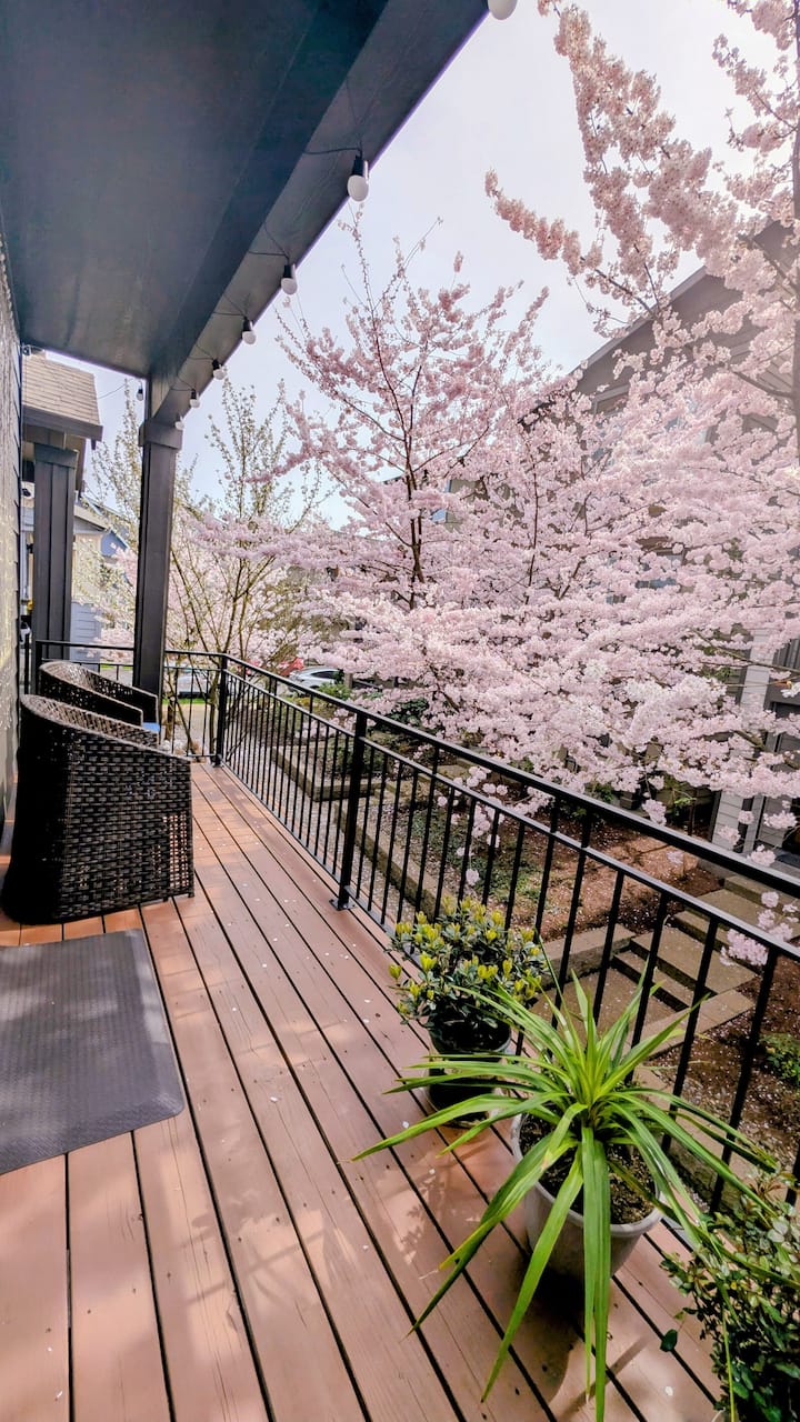Cherry Blossoms | Across From Nike | 1gb Wi-fi - Beaverton, OR