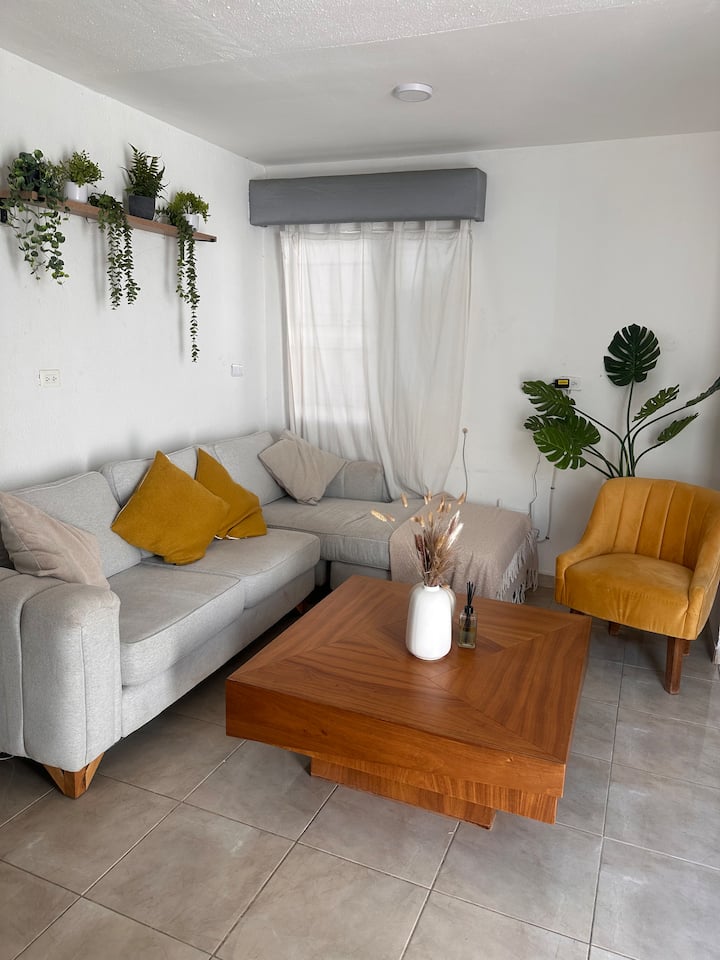 Casa Cómoda De Una Planta A 5 Min De Fnsm - Aguascalientes