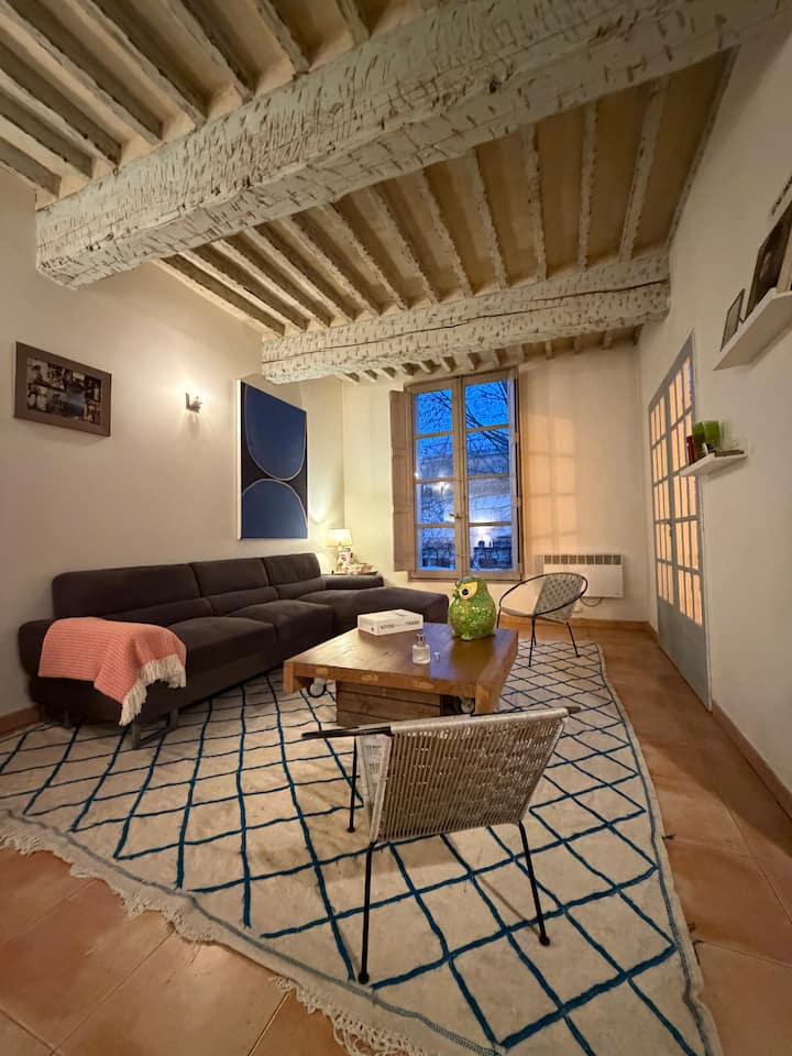 Appartement De Charme Centre Historique Aix - Aix-en-Provence