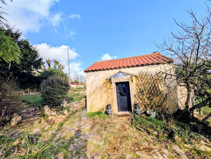 Le Clos De La Bambouseraie – Montagne De Beaune - Savigny-lès-Beaune