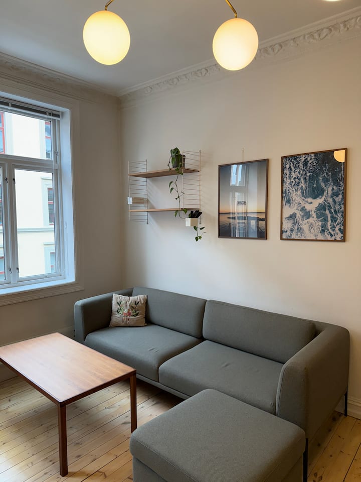 Lys Leilighet Med Sentral Beliggenhet - Oslo