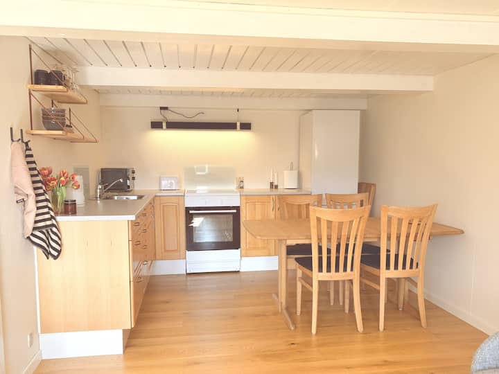 Cosy Apartment Very Close To City Center - Faroe Islands
