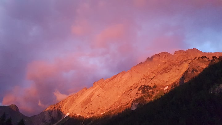 Petit Paradis Perdu Face Au Miroir D'argentine - Gryon