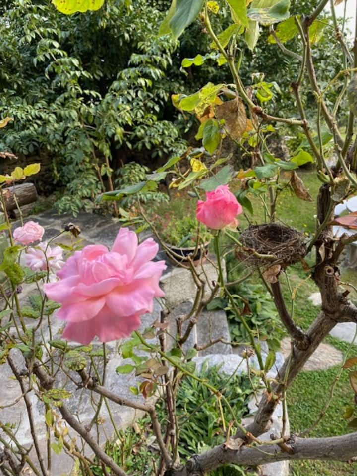 Appartamento La Rosa - Faido