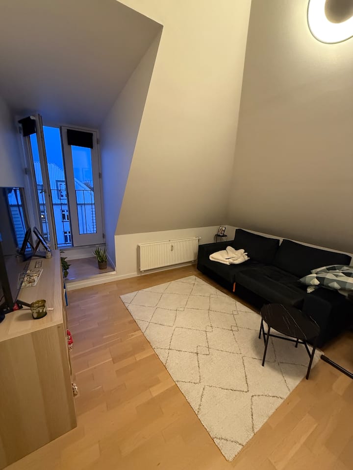 Cozy Apt - Quiet And Well-connected Area Of Cph! - Copenhagen