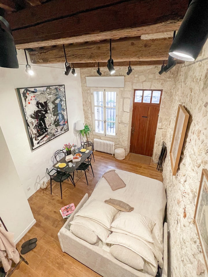 Studio 26 Appart/galerie/commerce Centre D'arles - Arles