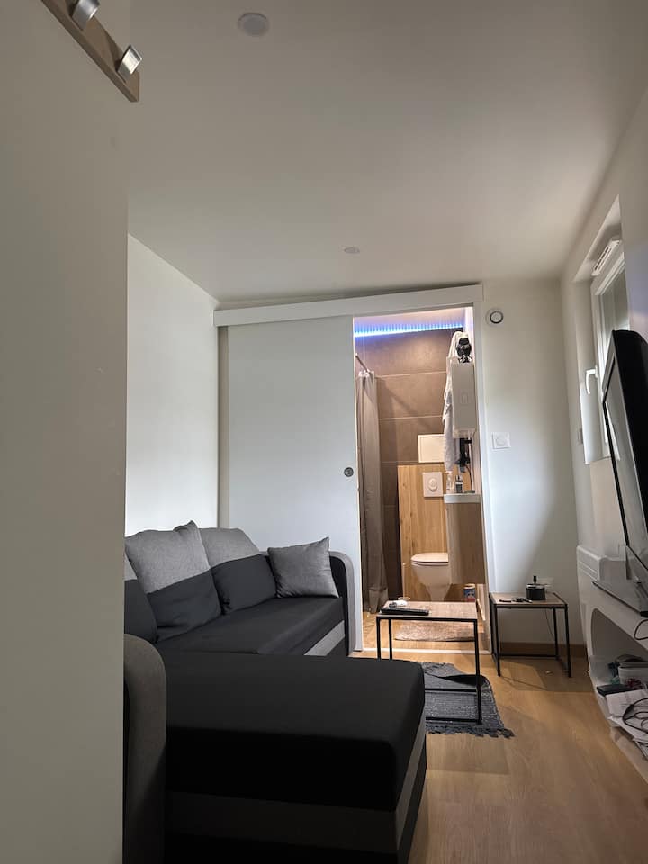 Studio Toute Neuve Vient D’être Rénové - Ostwald