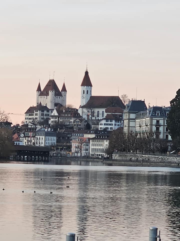 Grosszügiges Studio Im Herzen Von Thun (5) - Thoune