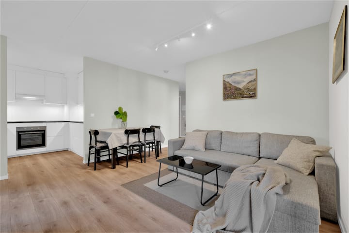 Supersentral 5-roms Leilighet + Innglasset Balkong - Oslo