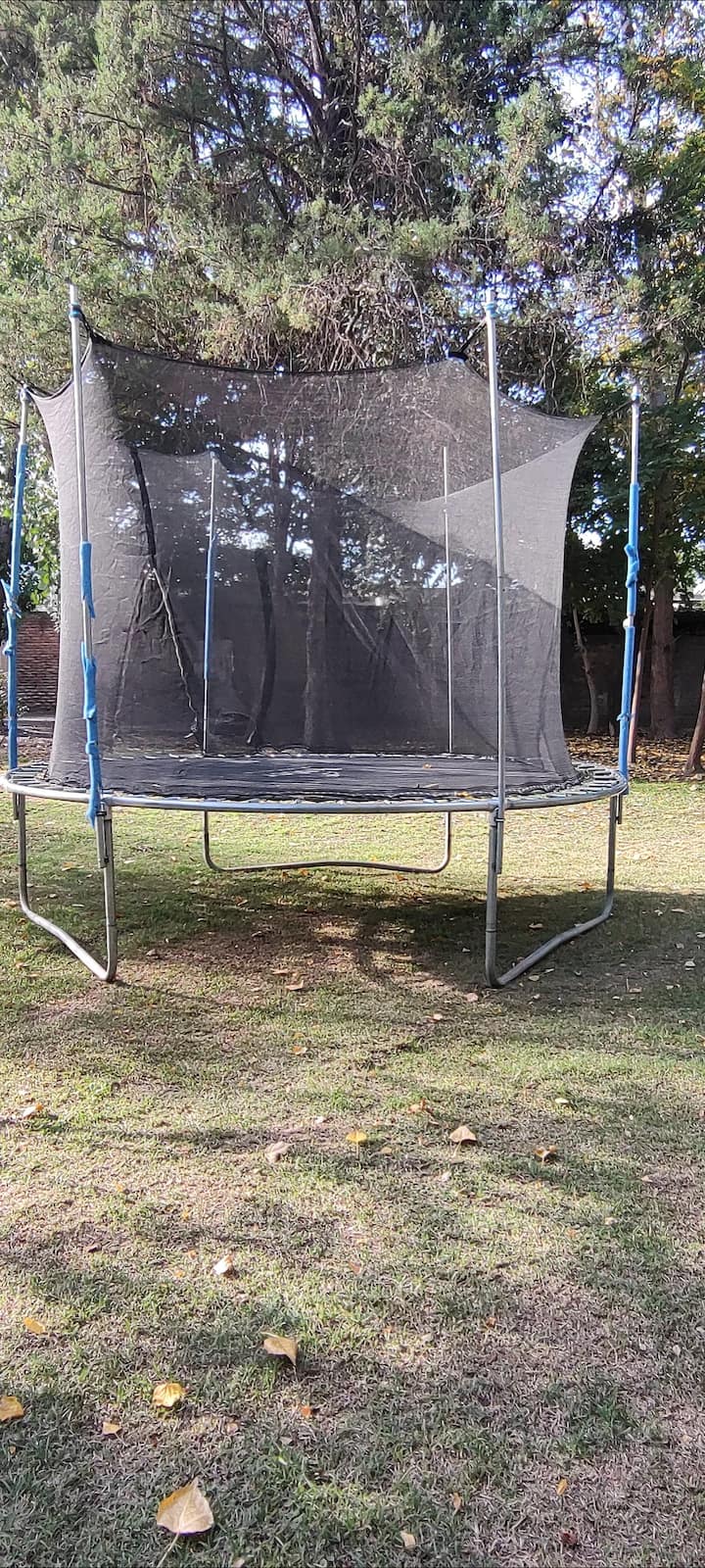 Lela Colonia - Tunuyán