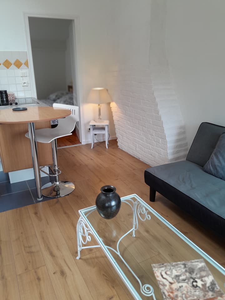 Calme Sous Le Toit 2 Mn Gare Confort Lumineux. - Arras