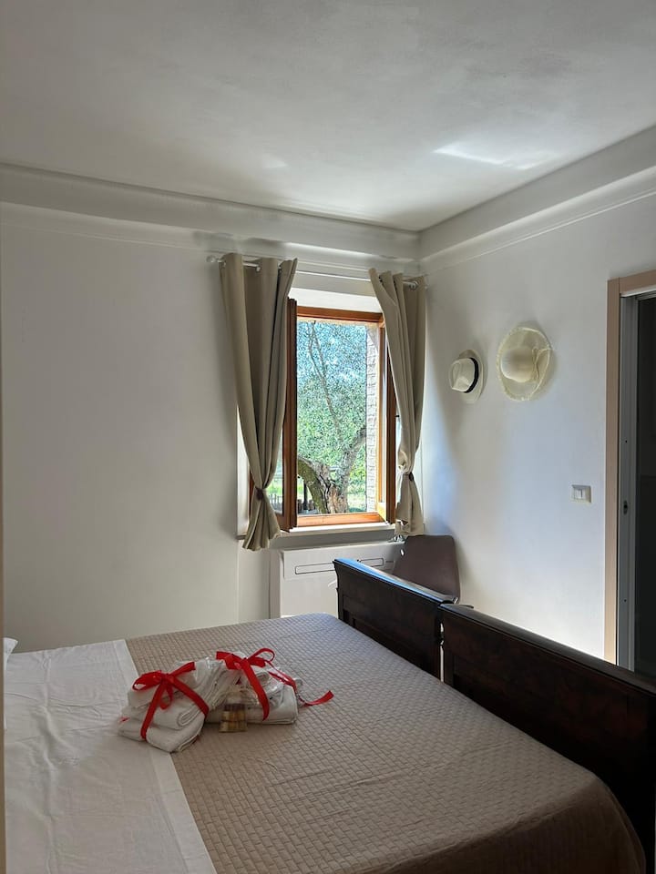 Camera 4 In Agriturismo Con Piscina A Montalcino - Montalcino