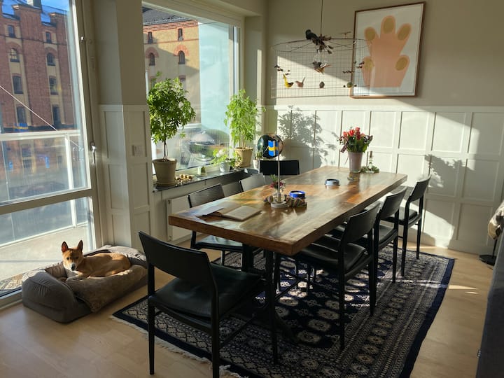 Soligt Läge Med Stad, Bad Och Restauranger - Stockholm