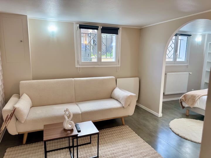 Maison Familiale Proche Rer B: Jardin & Parking - Le Blanc-Mesnil