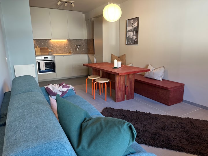 Beautiful Ski-in/ski-out Alpine Suite – Cervinia - Zermatt