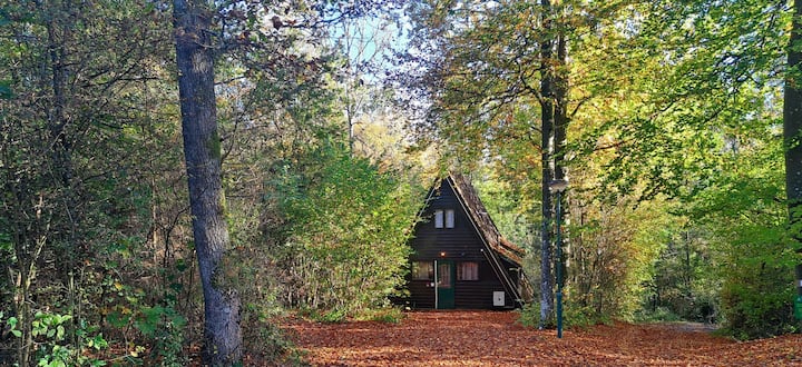 Welkom In Maison Misa - Durbuy