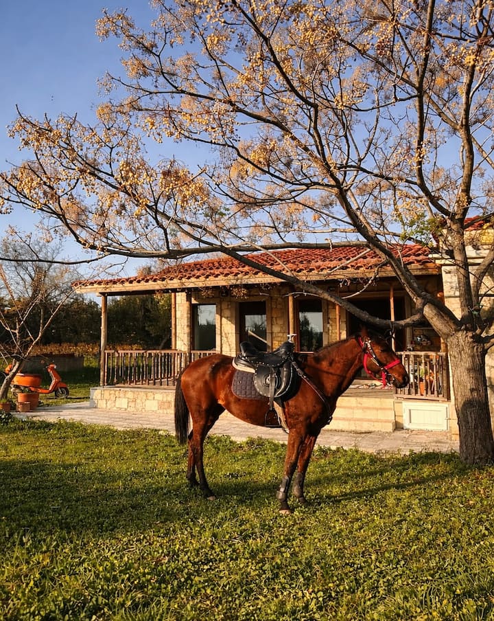 Merkeze 3dk| Denize Yakın | Sessiz Bağ Evi - Bozcaada