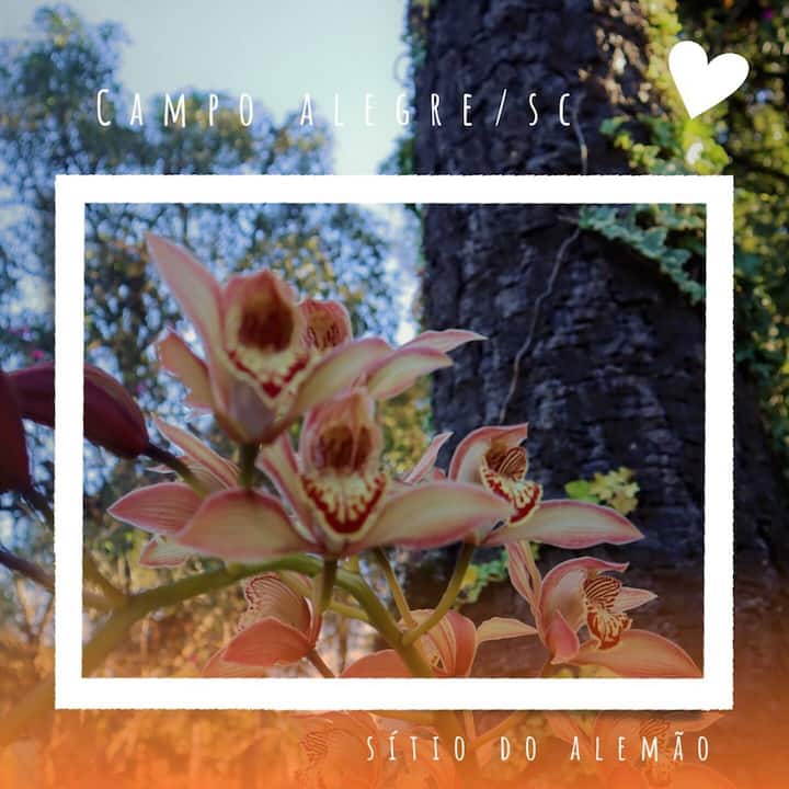 Chalé Campo Alegre - Campo Alegre