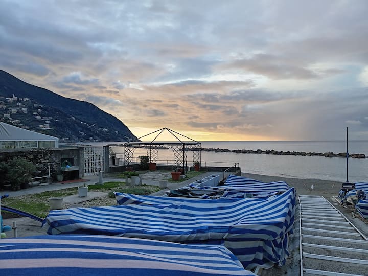 Sea Dreams - Moneglia