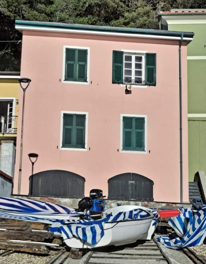 Sea Dreams - Moneglia