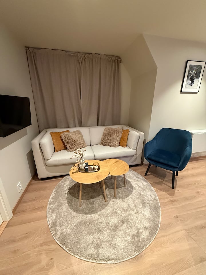 Newly Renovated And Functional Flat For Rent - Bergen, Norwegen