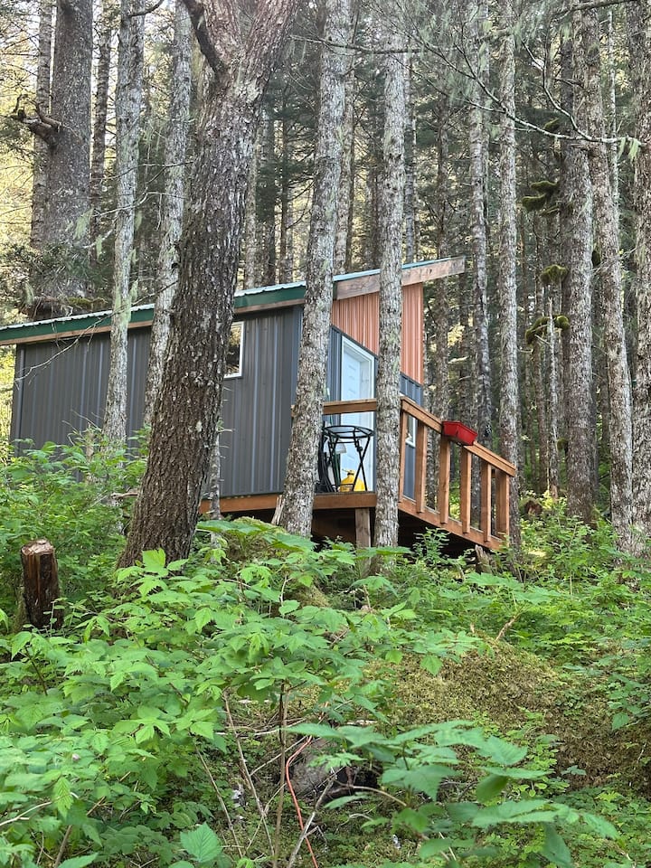 Ellsworth Glacier View Cabin #3
(Maischeid) - Seward, AK